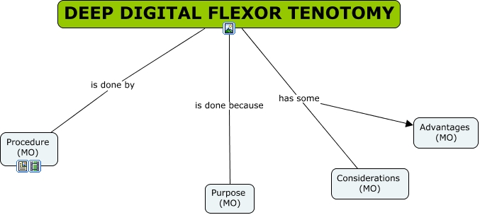 Deep Digital Flexor Tenotomy