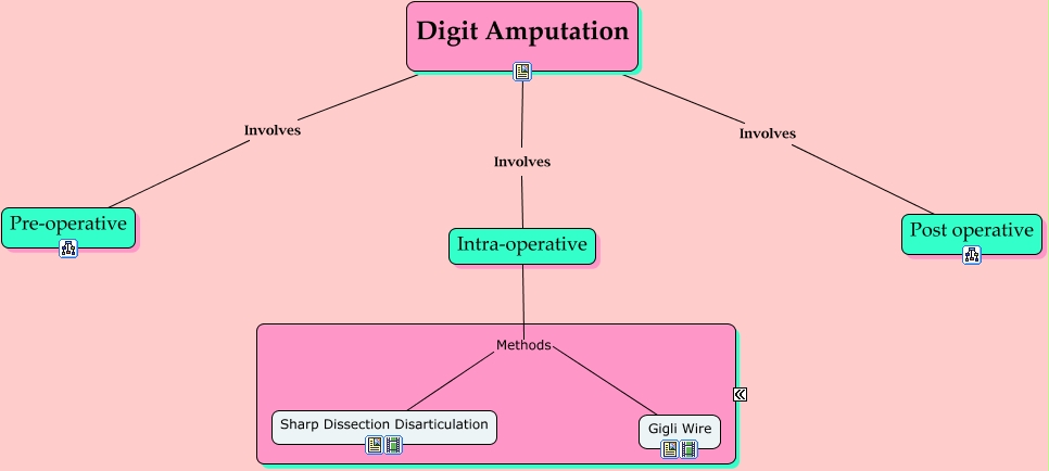 Digit Amputation