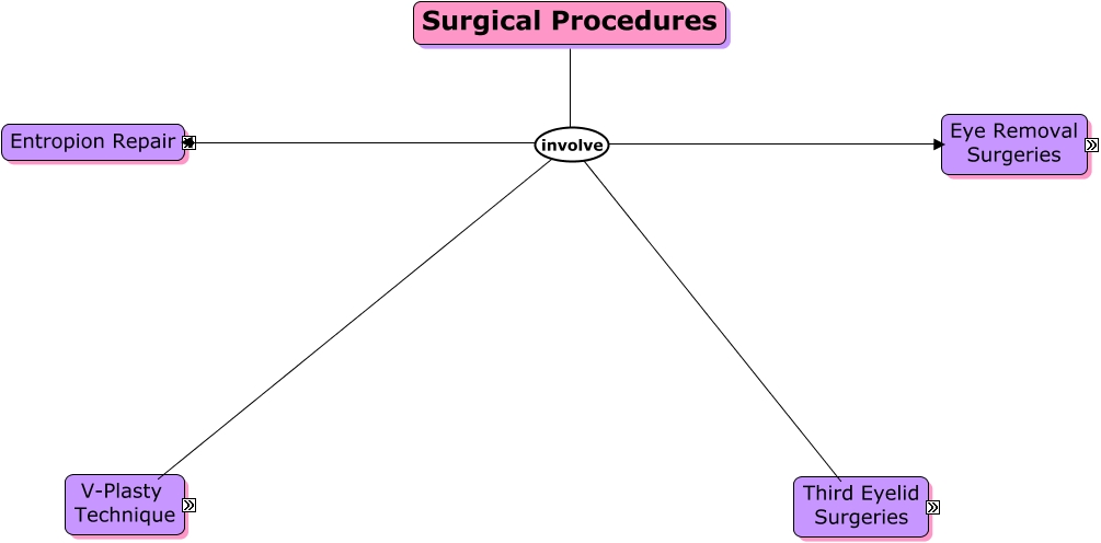 Surgical Procedures