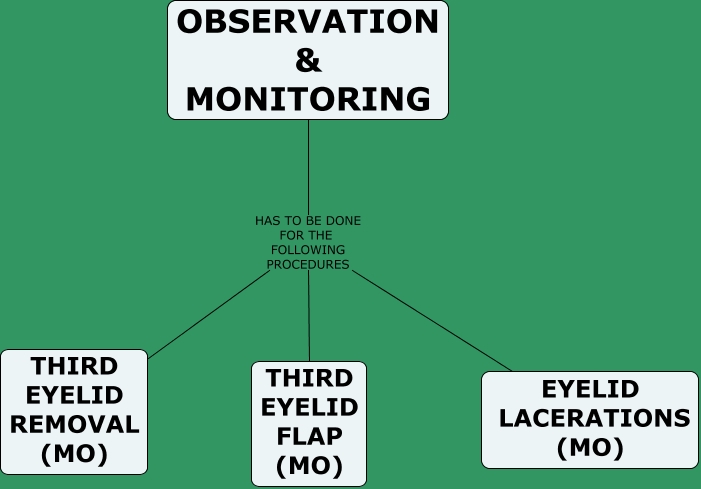 OBSERVATION & MONITORING