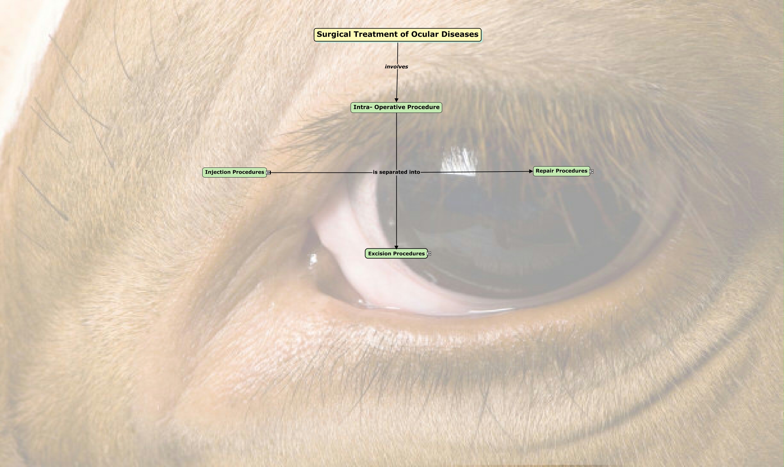 Intra-Operative Procedure 1