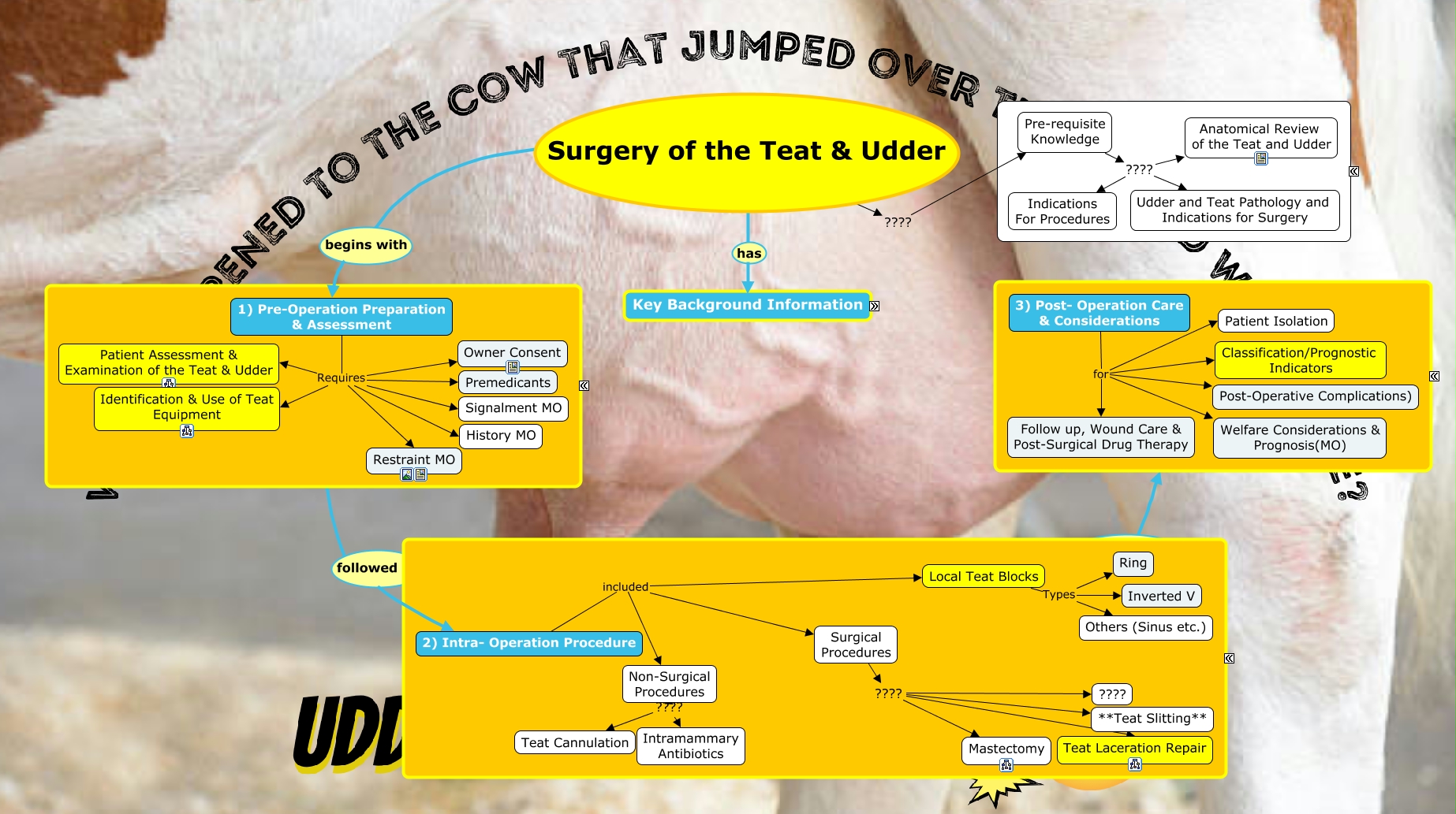Group 3 Lab 8 - Surgery of the Teat and Udder