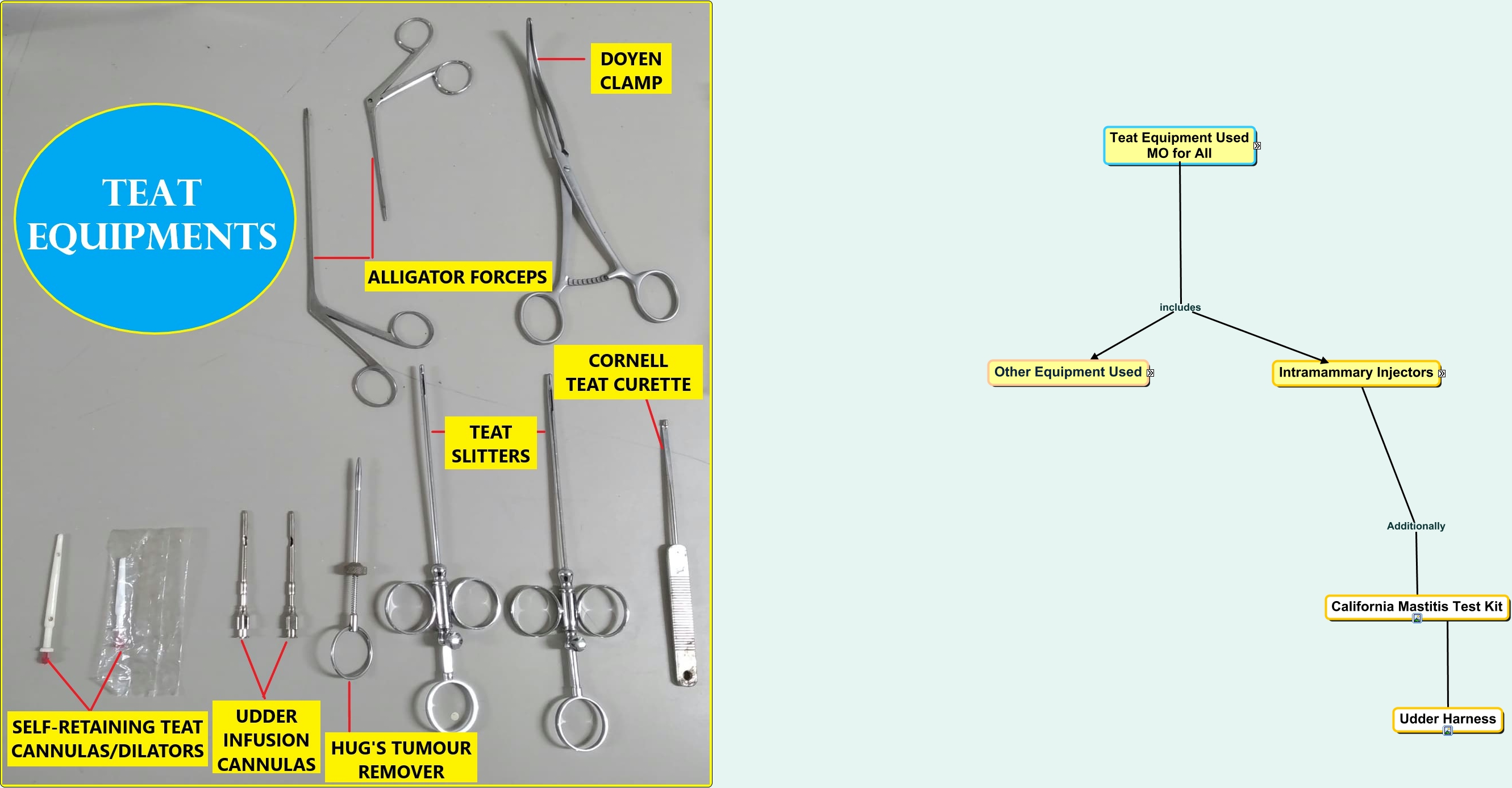 Teat Equipment