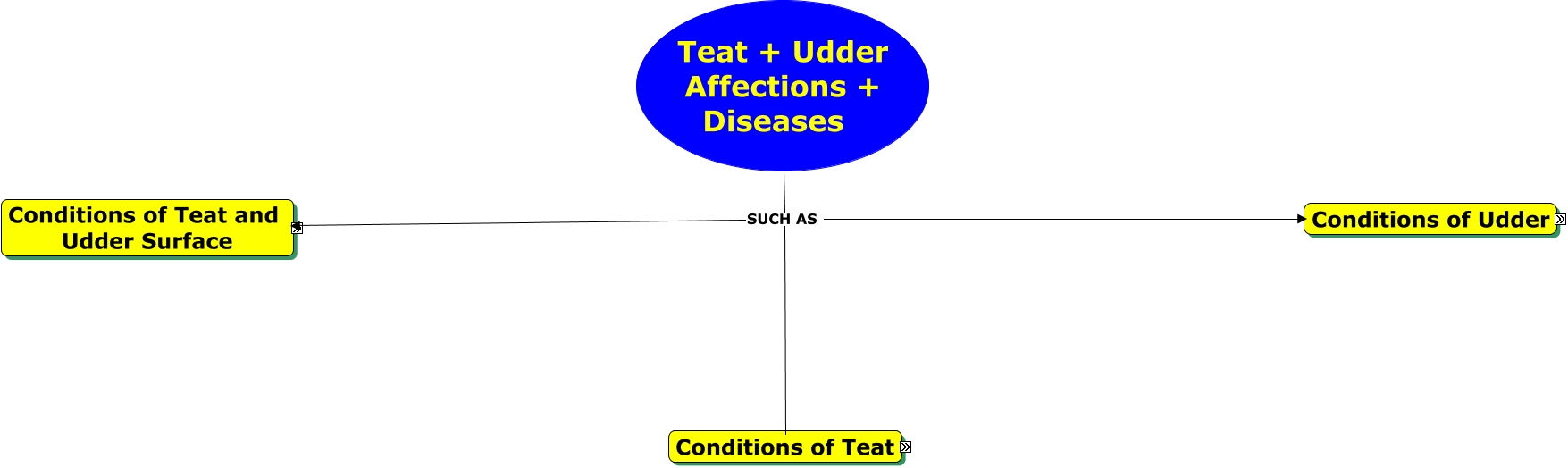 Surgical Affections and Diseases of Udder + Teat in Large Animals