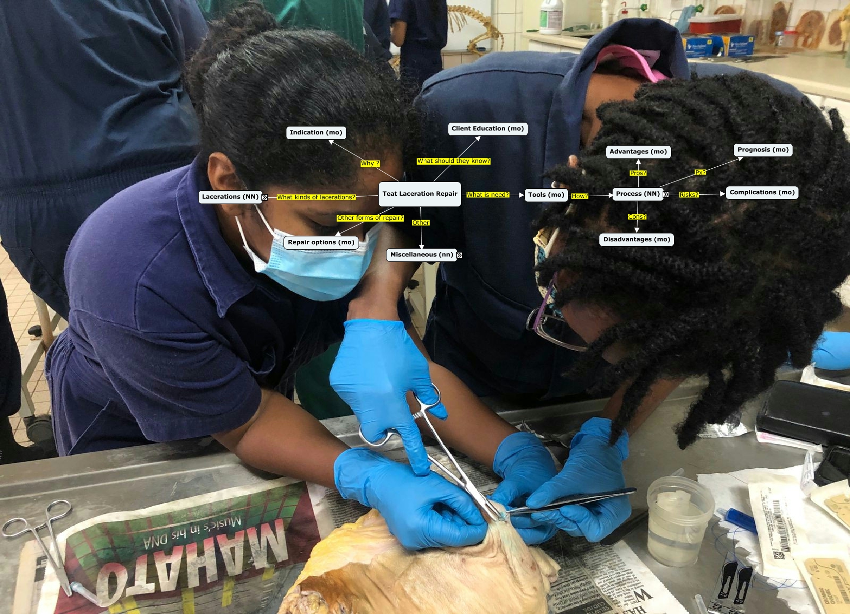 Teat Laceration Repair