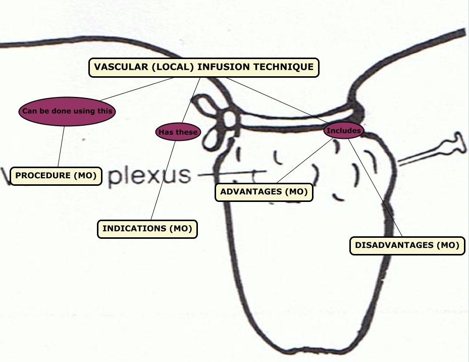 Vascular (Local) Infusion Technique