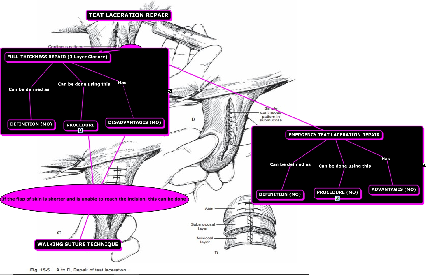 Teat Laceration Repair