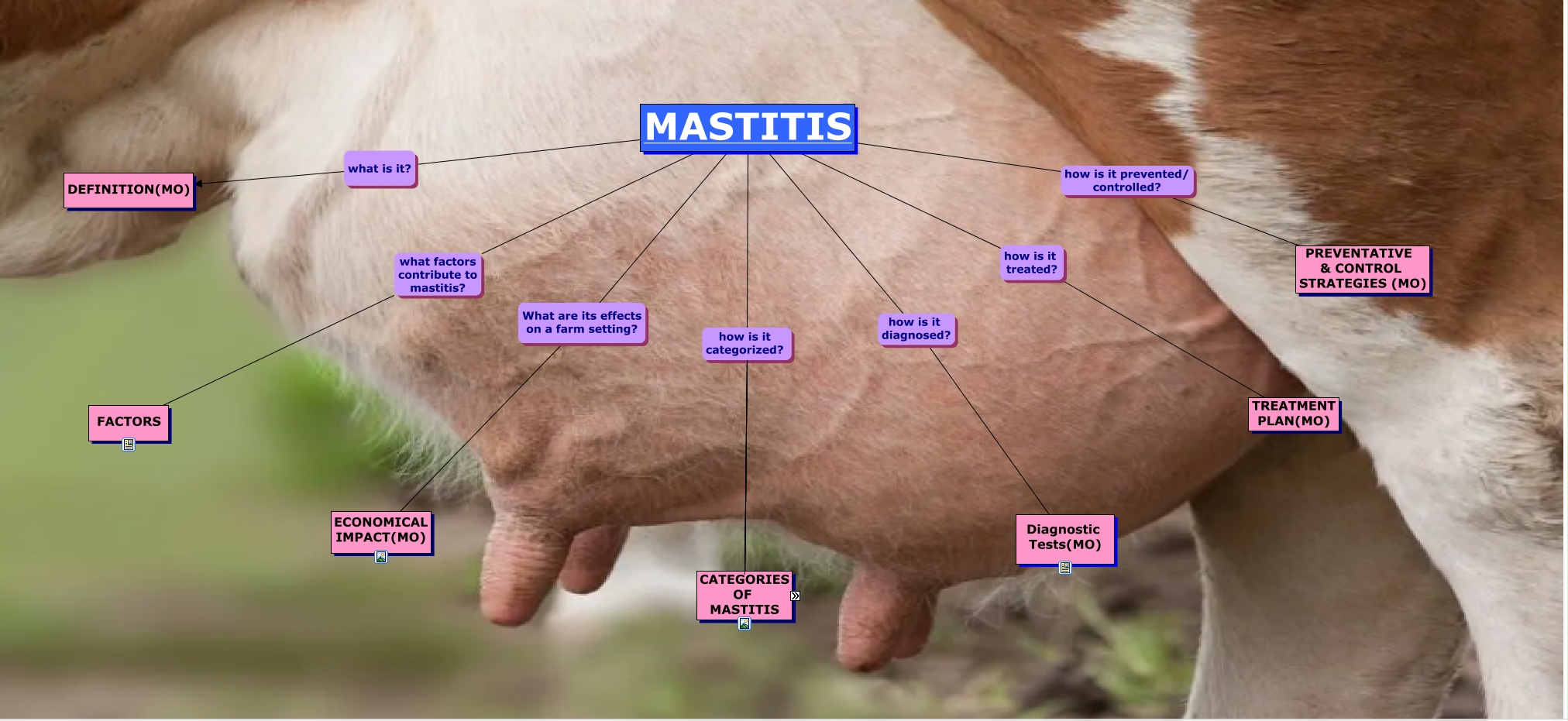Mastitis- Gen Info