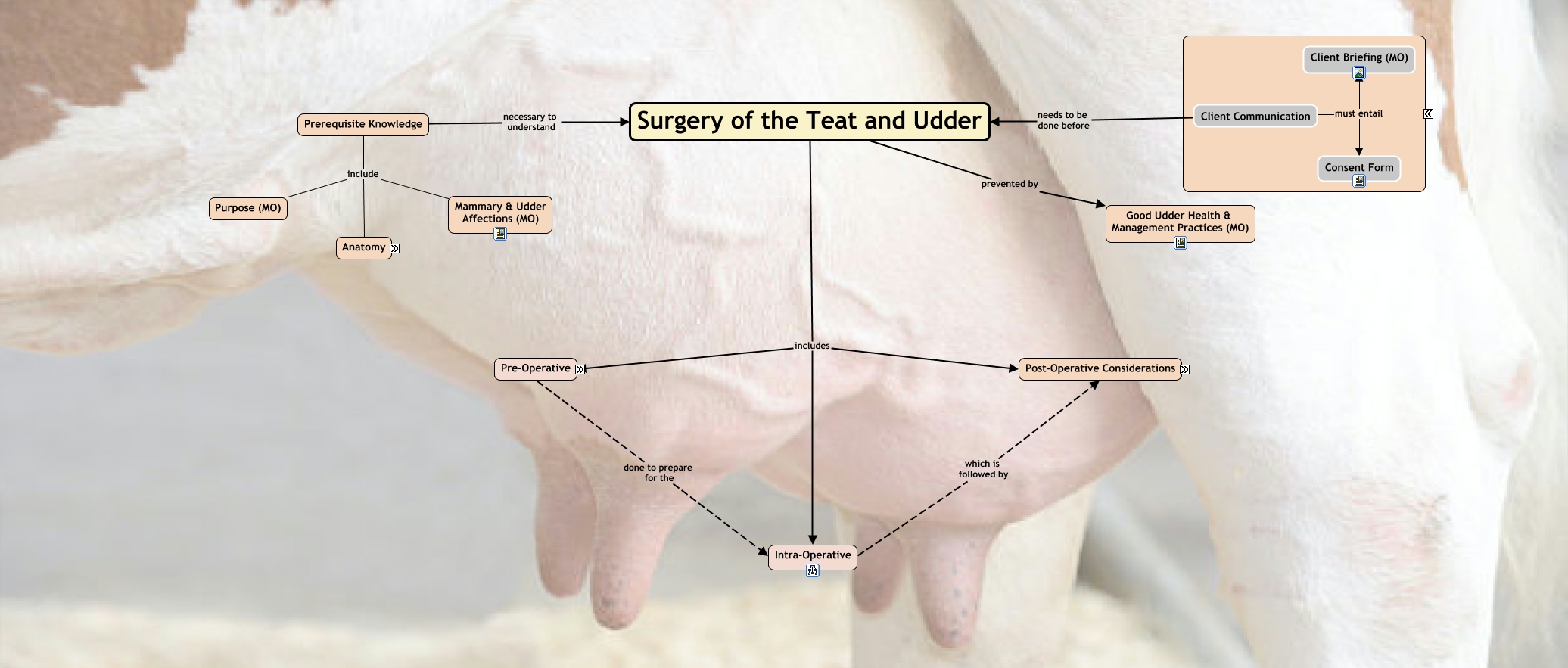 Surgery of the Teat and Udder Final 2