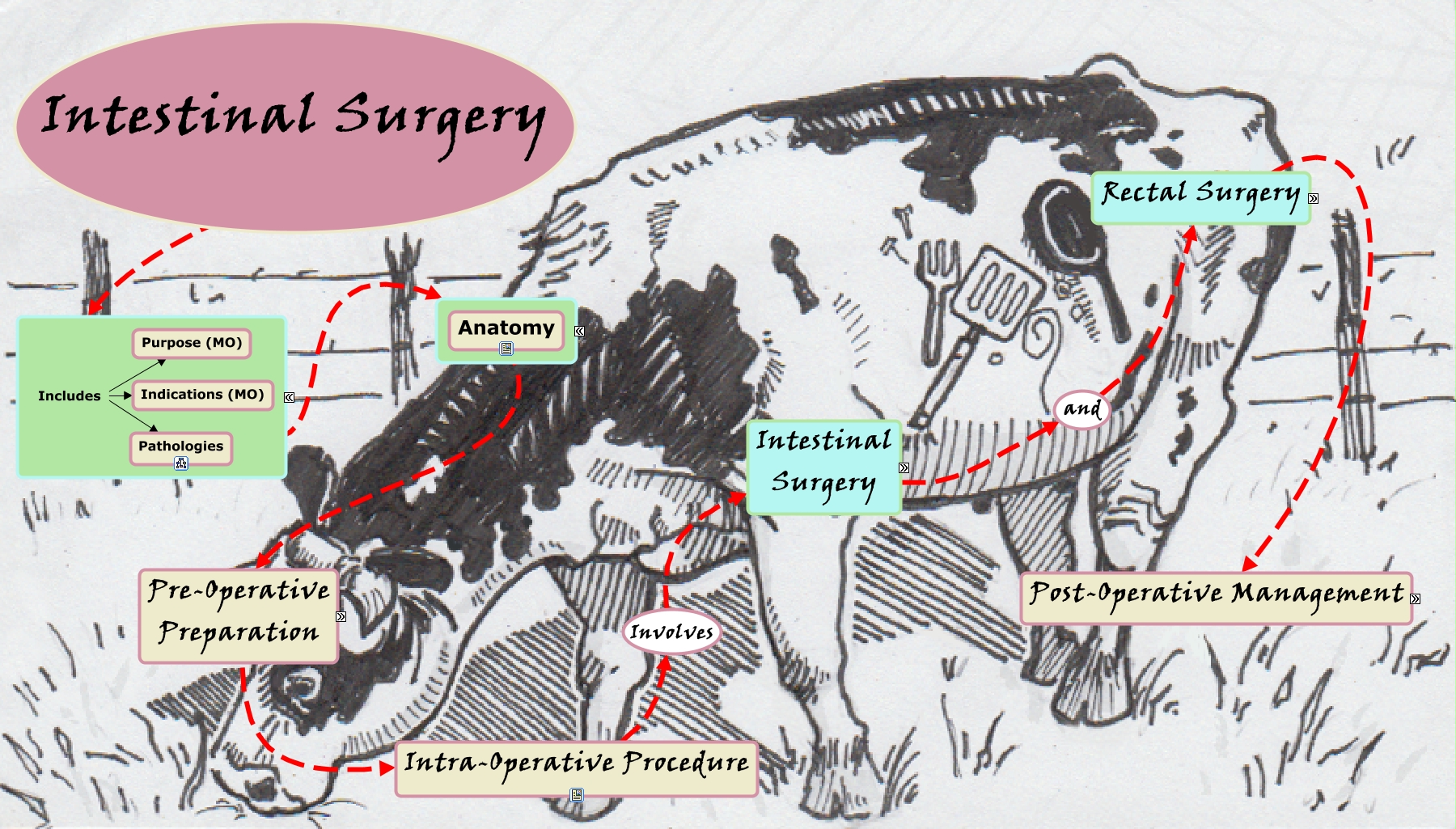 Group 3 Lab 9- Intestinal Surgery