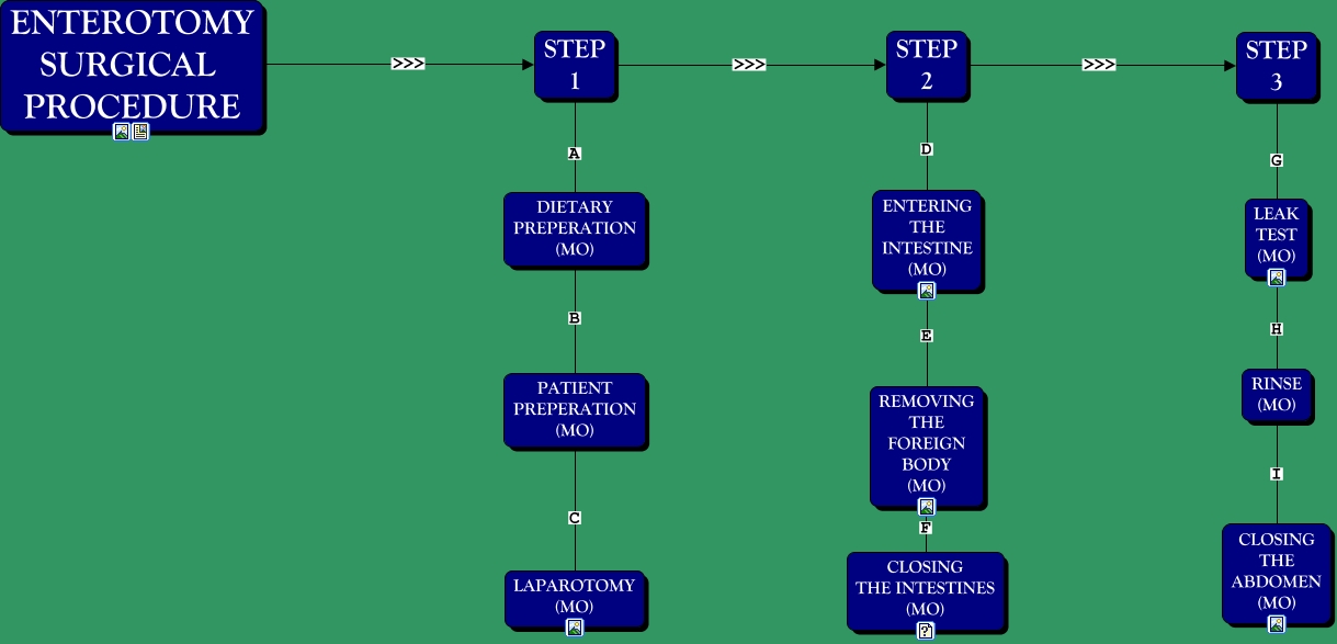 ENTEROTOMY SURGICAL PROCEDURE