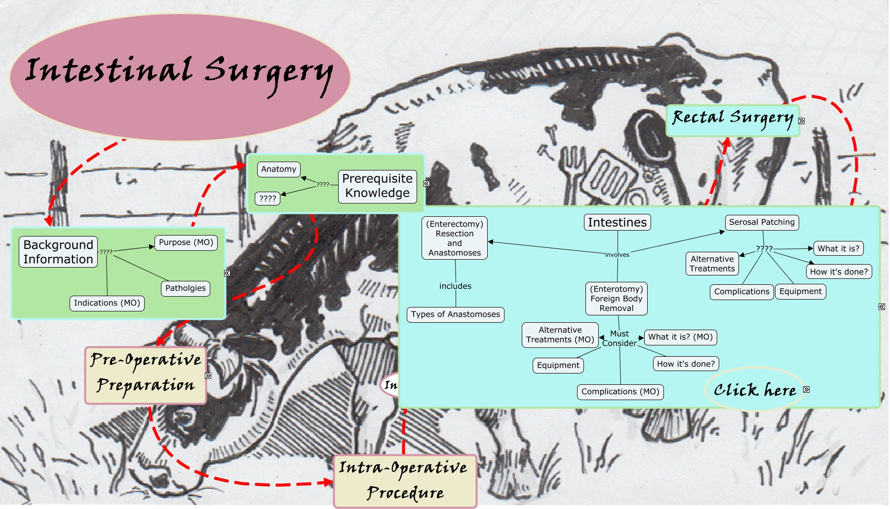 Group 3 Lab 9- Intestinal Surgery (Spare)