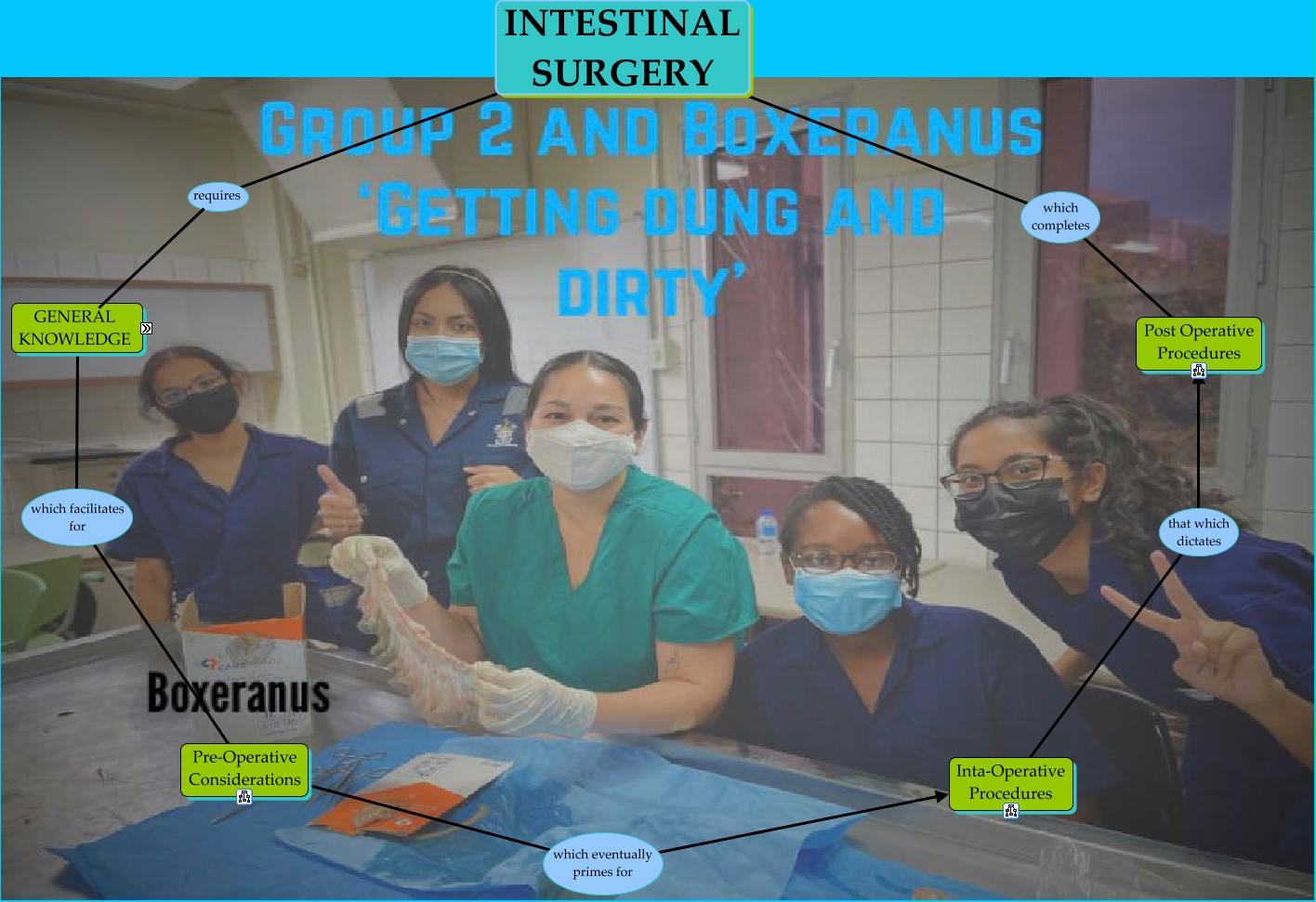 GROUP 2- LAB 9 - INTESTINAL SURGERY