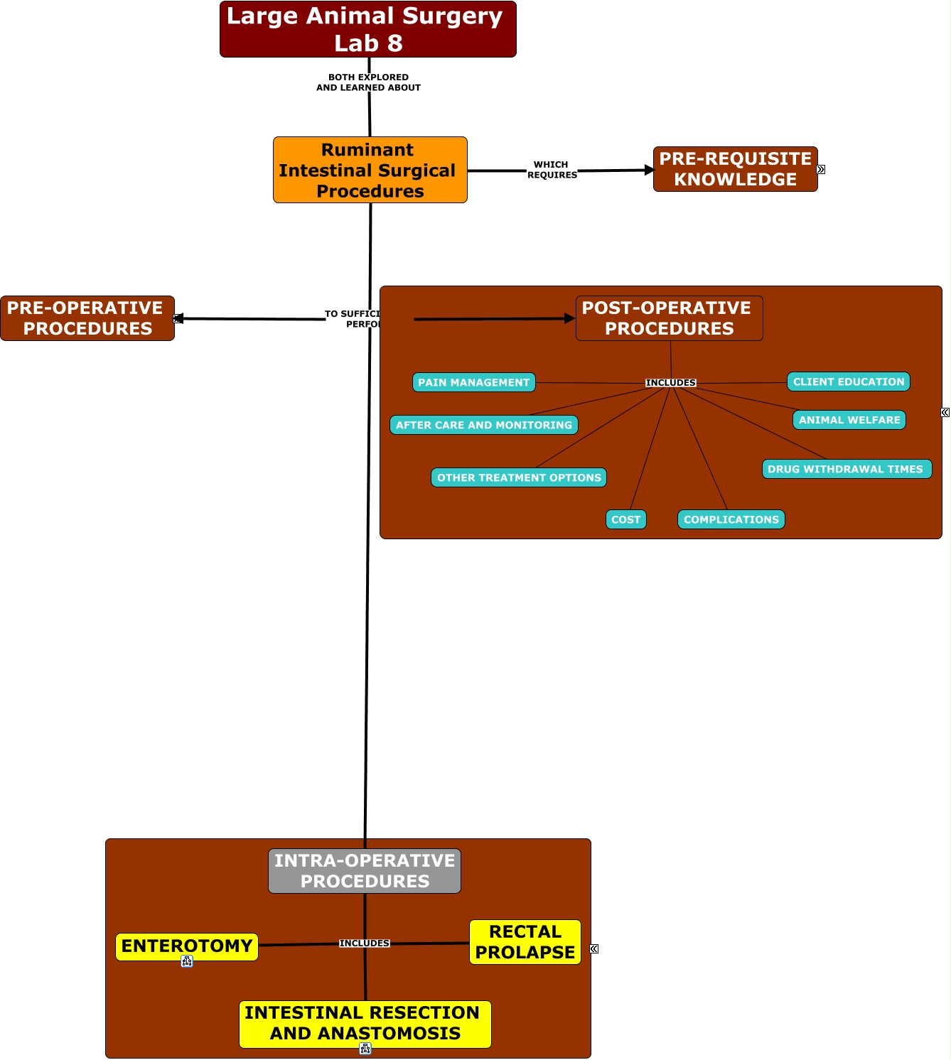 Lab 8 - Ruminant Intestinal Surgical Procedures- Copy