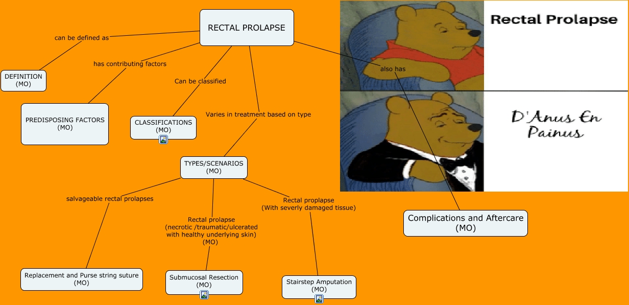 RECTAL PROLAPSE