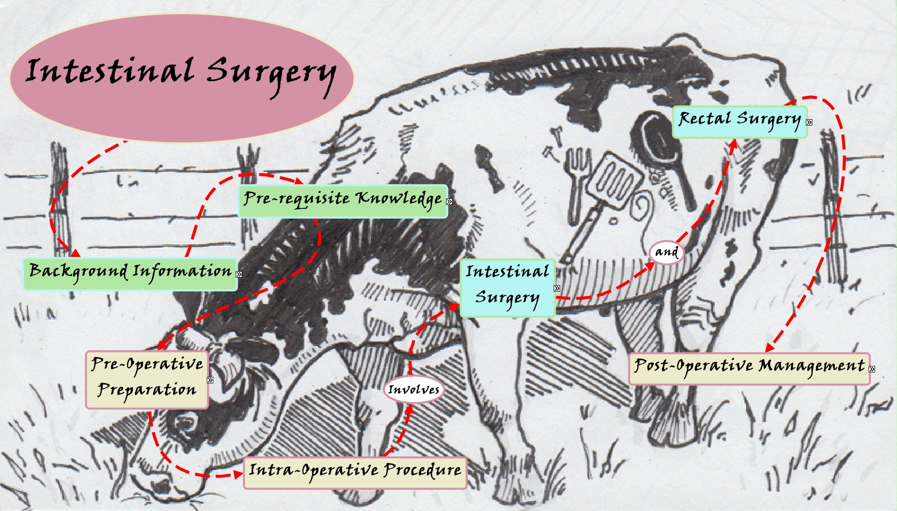 Group 3 Lab 9- Intestinal Surgery Copy 4