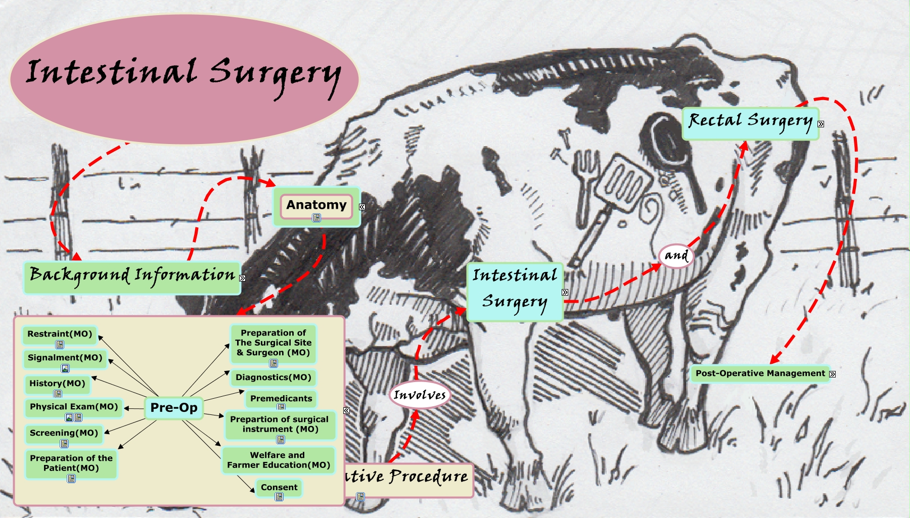 Group 3 Lab 9- Intestinal Surgery Copy 6