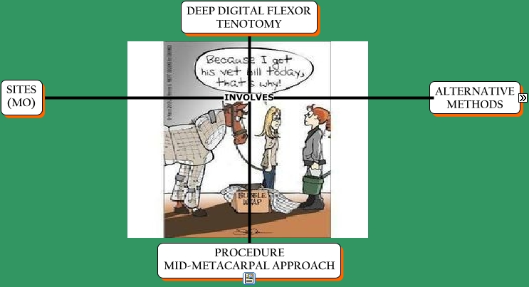 DEEP DIGITAL FLEXOR TENOTOMY