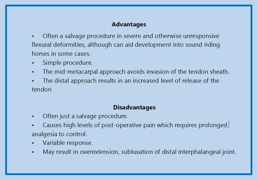 Group 2- Lab 10 - Equine Limb surgery