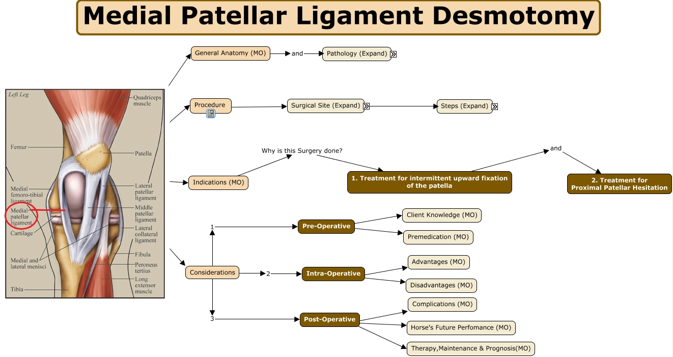 Medial Patella Ligament Desmotomy
