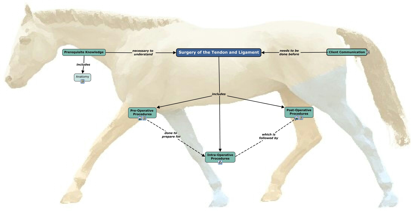Tendon and Ligament Surgery in the Horse - Final