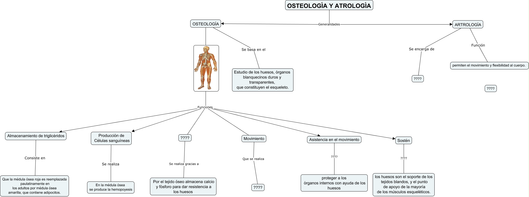 Osteología