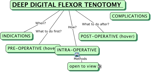 Deep Digital Flexor Tenotomy