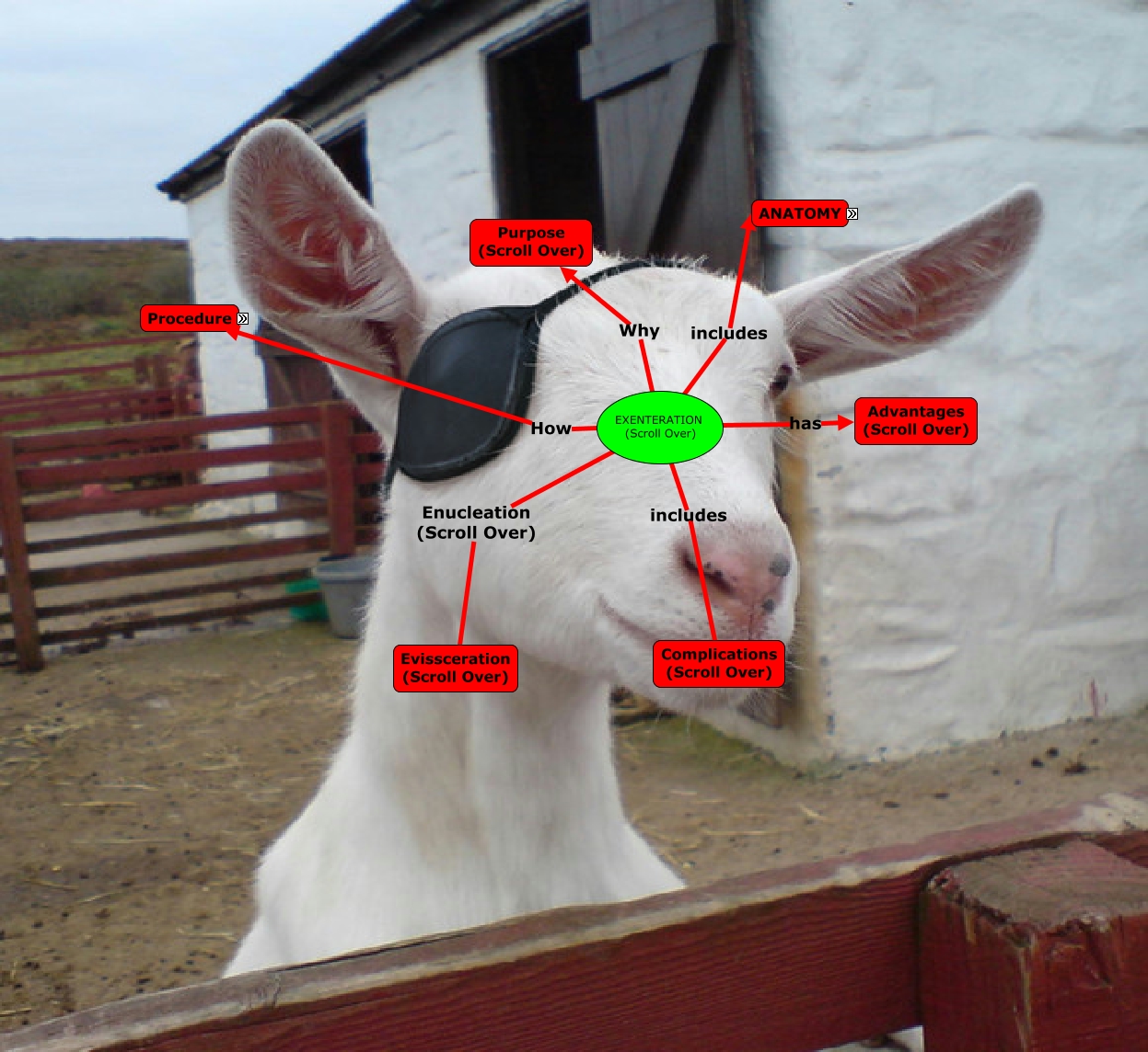 Exenteration CMAP