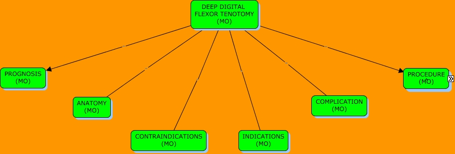 DEEP DIGITAL FLEXOR TENOTOMY