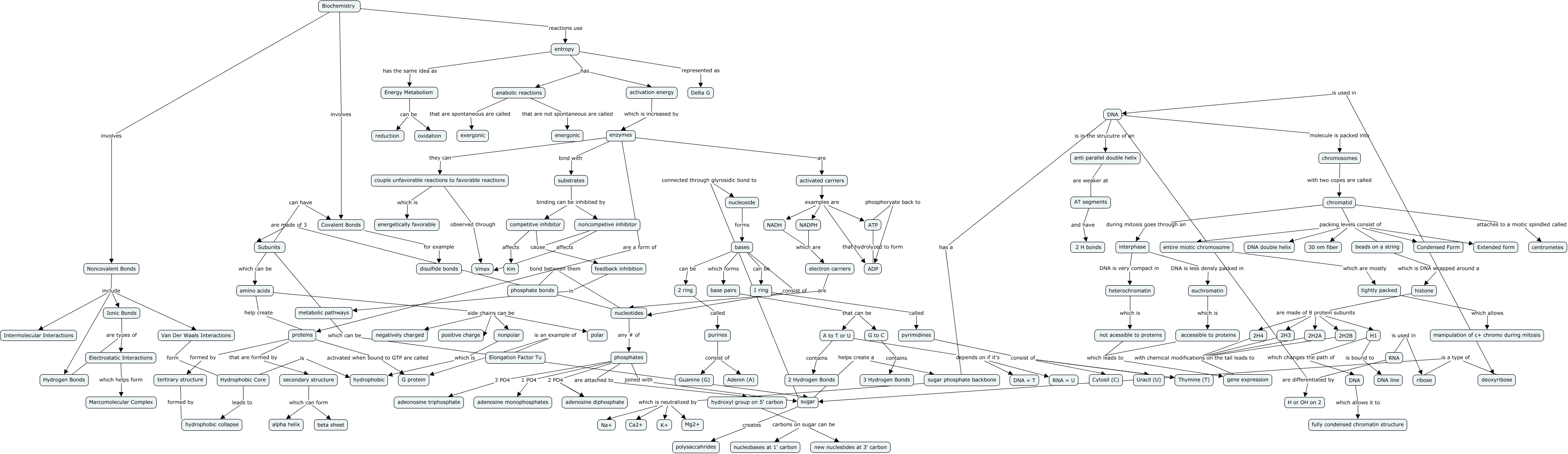 Biochemistry Concept Map 2nd Submission