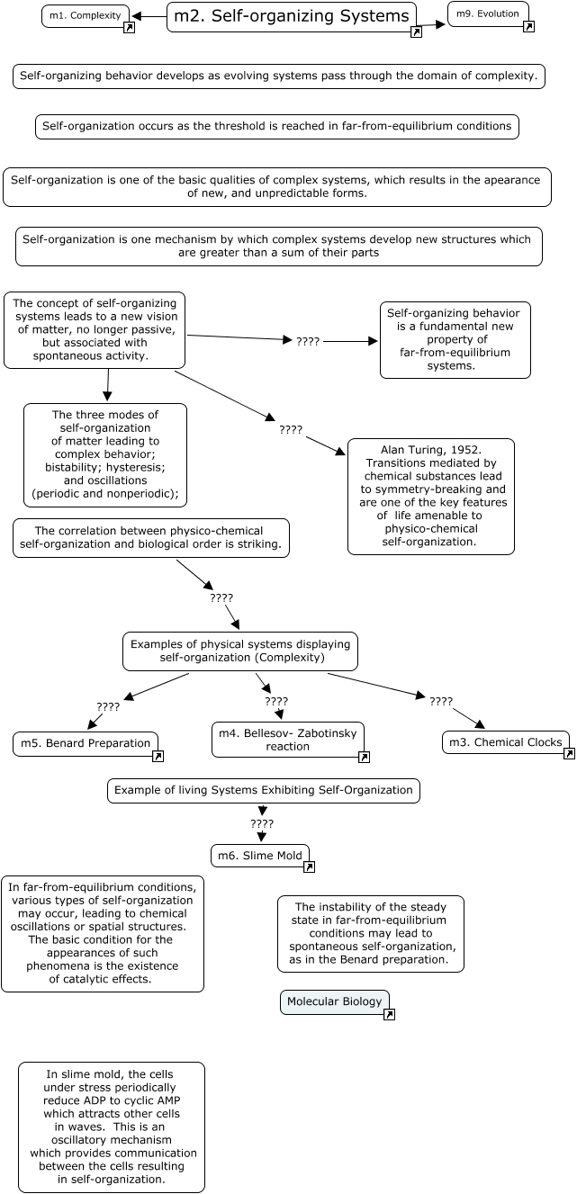 m2. Self-Organizing Systems